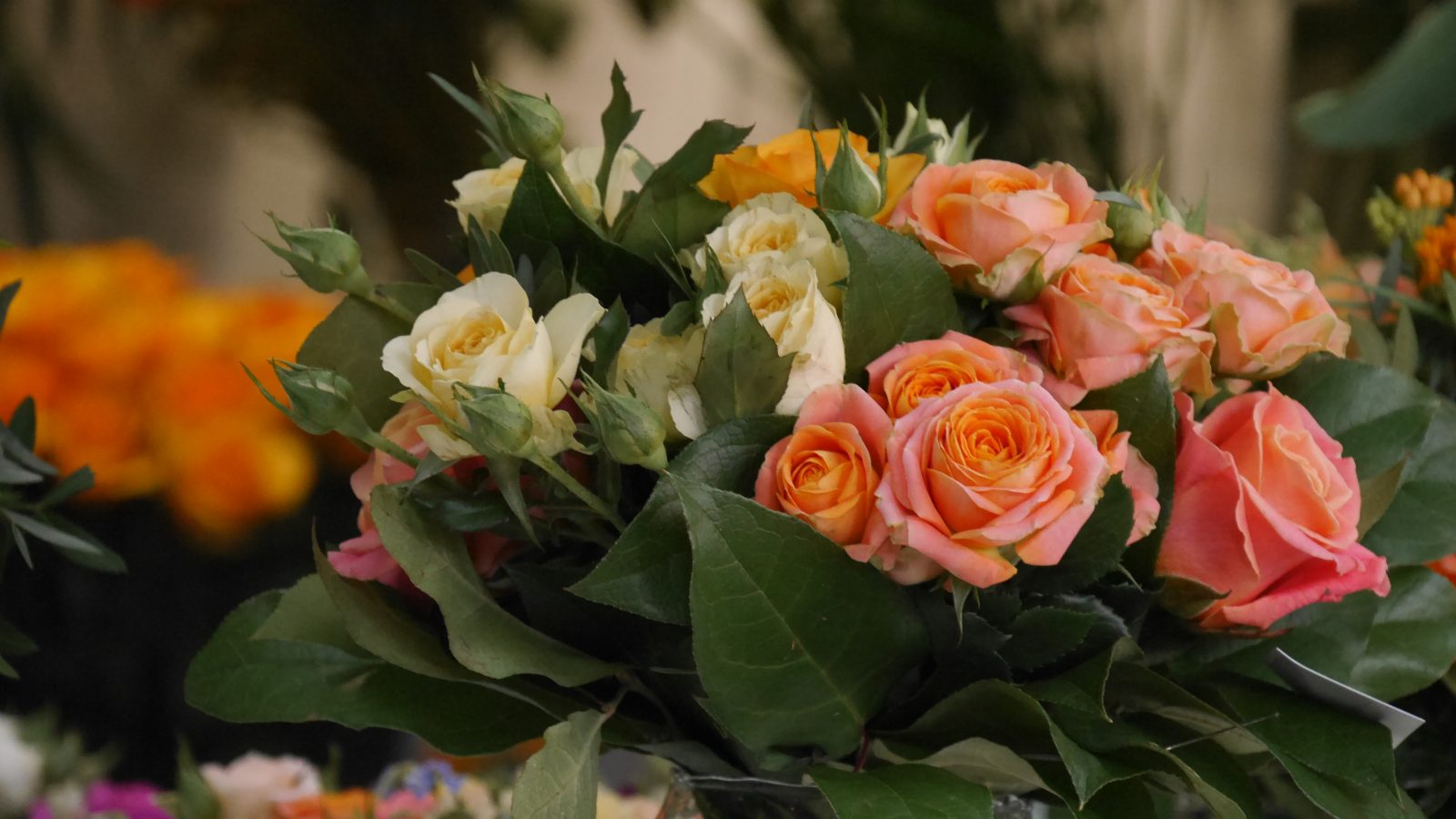 Quel nombre de roses offrir ? Toutes les significations